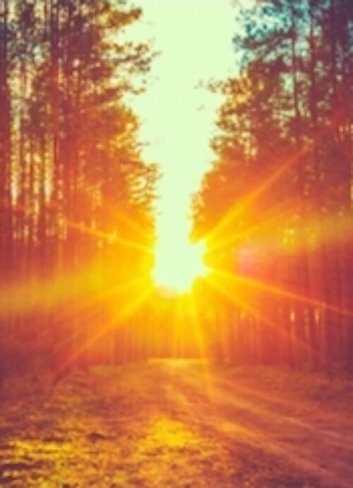 Center For Courage Renewal