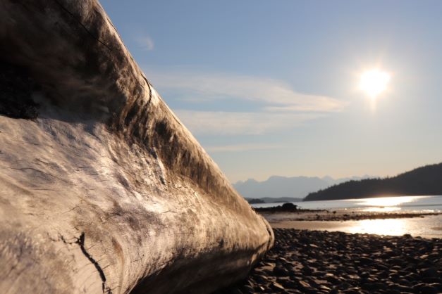 Wayfinding: A Courage & Renewal® Experience on Cortes Island | Center ...
