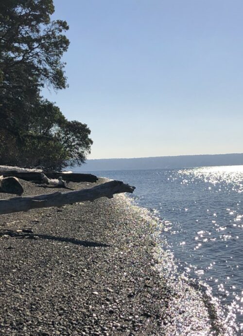 Courage & Renewal Practicum - (November/December 2022) | Center for ...